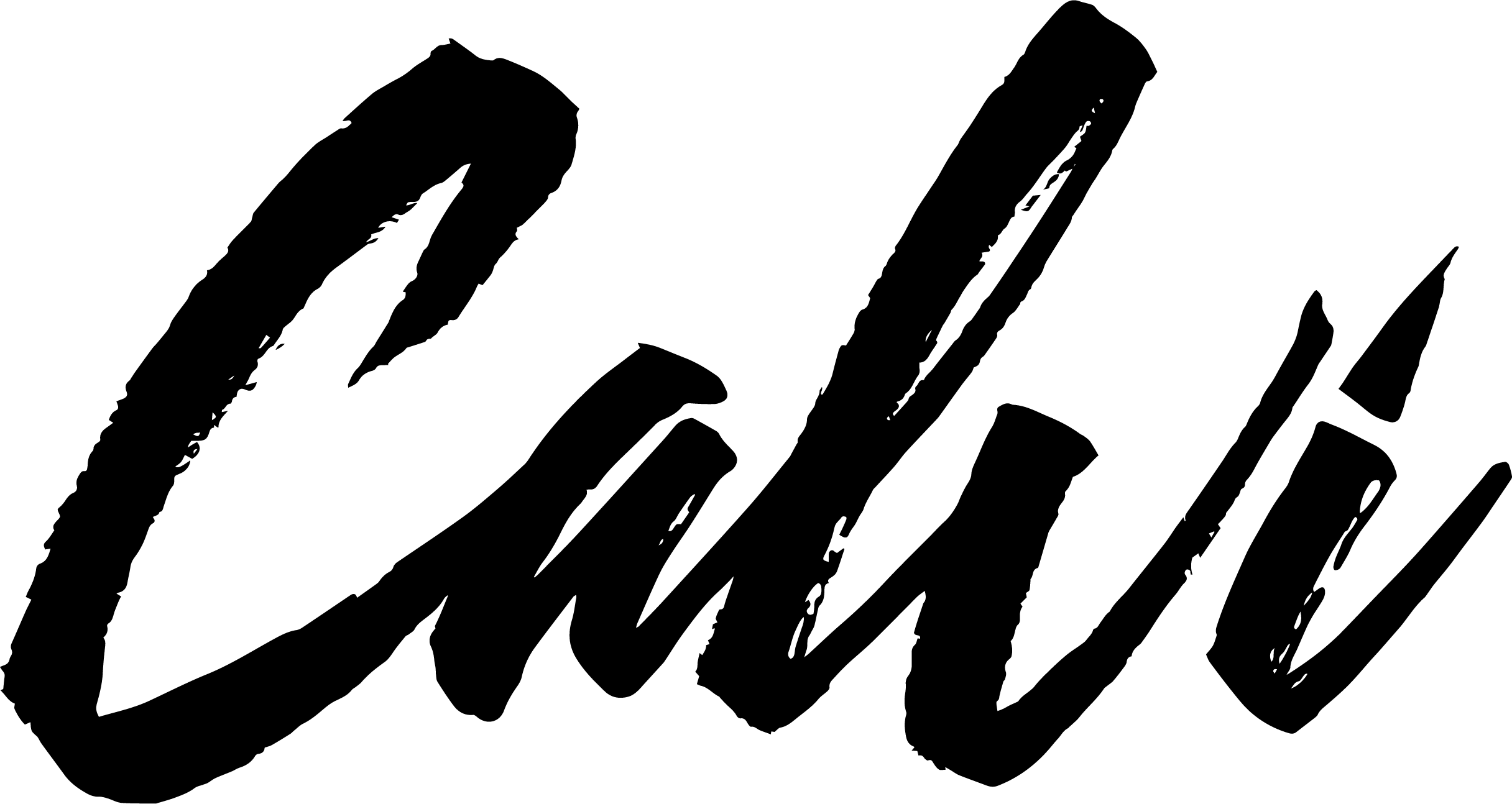 Catalogue – Calvi wholesale